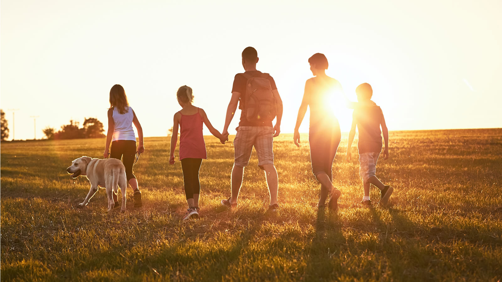 A Dozen Things That Caught My Eye: Francesca Kaczynski Will Save Lives ...