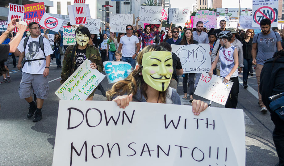 GMO Crop Safety: Reports Show They Are Harmless | National Review