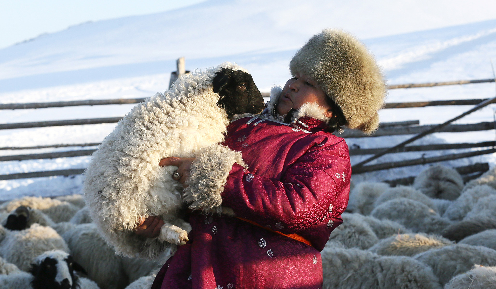 Cold World of Nomadic Siberian Shepherds | National Review