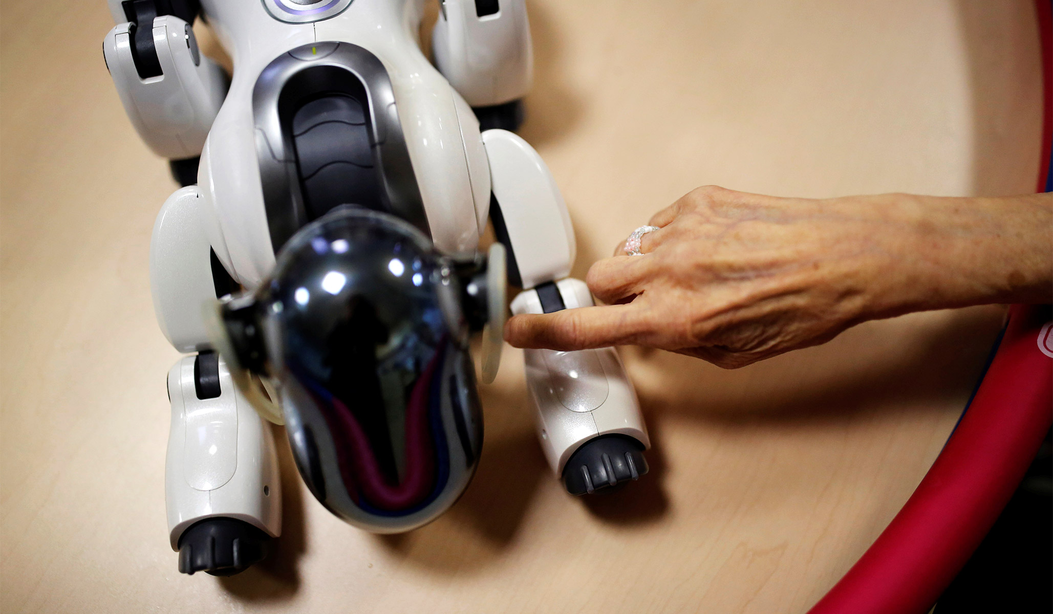 Robots Help Care for Elderly Residents in Japan | National Review
