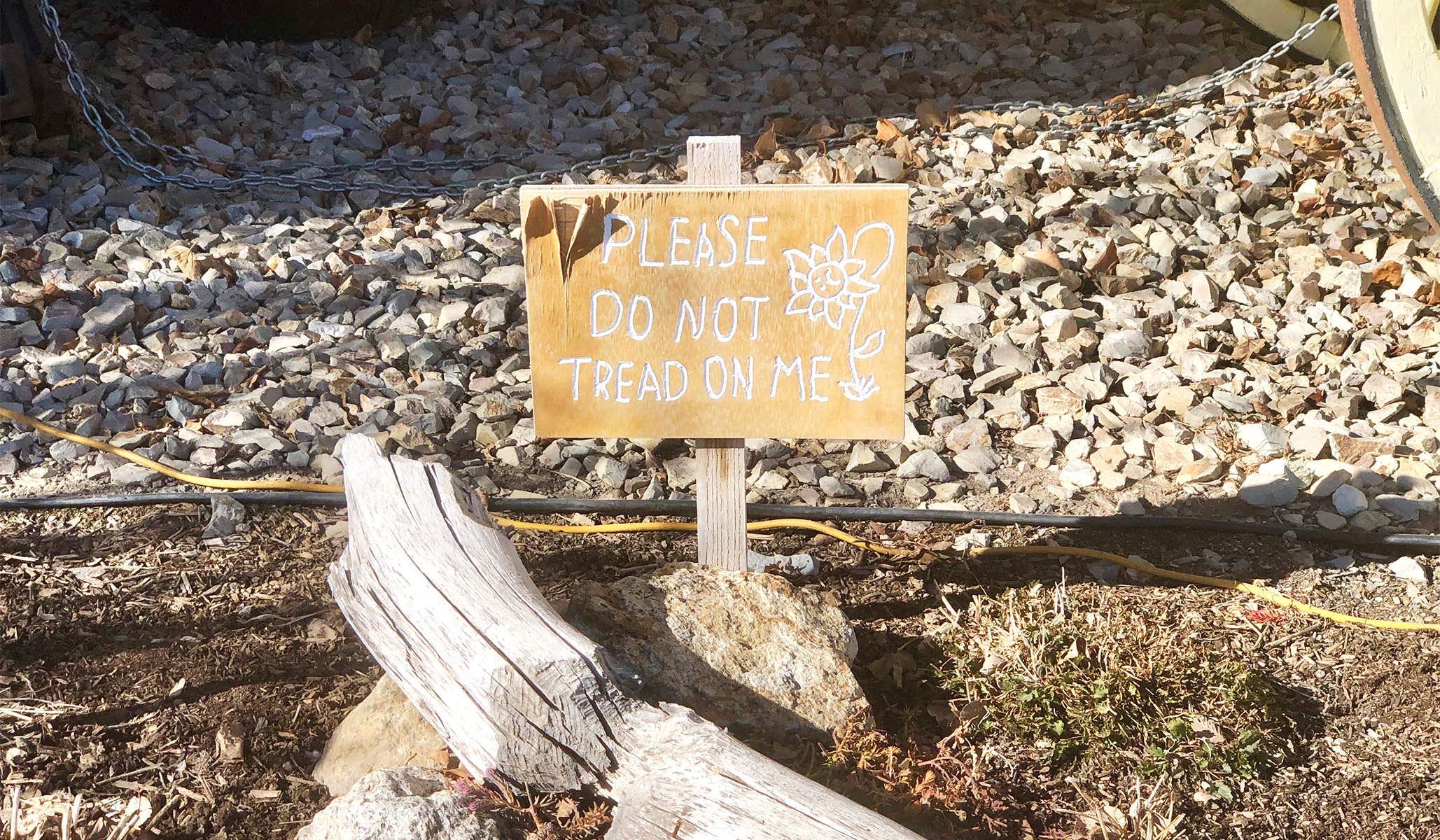 Home of the Basque: An Elko Journal, Part II | National Review