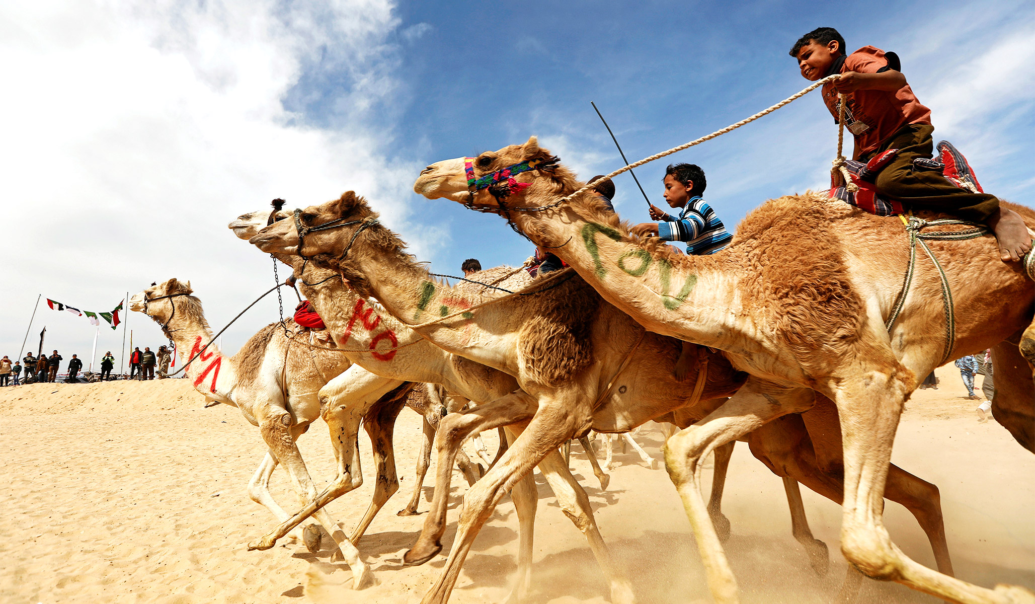 International Camel Racing Festival in Egypt | National Review