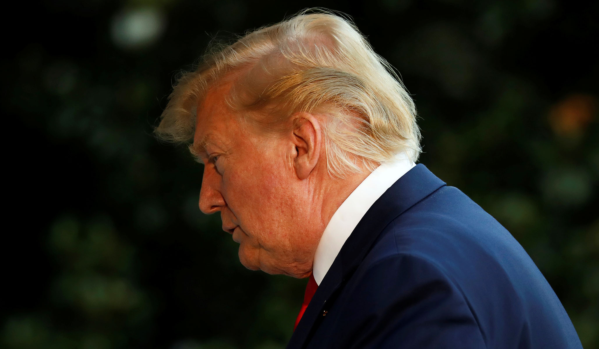 Donald Trump's 2020 Reelection Looks Promising | National Review