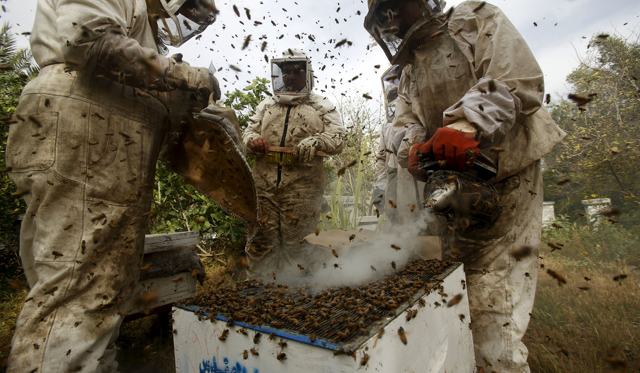 Snopes & Babylon Bee -- Site Keeps 'Fact-Checking' Satirical Babylon ...