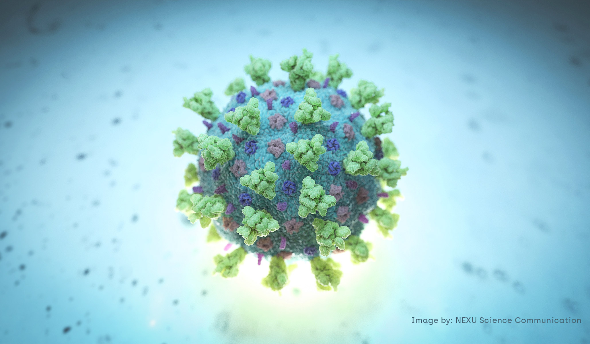 More Than You Ever Wanted to Know about Viral Mutation | National Review