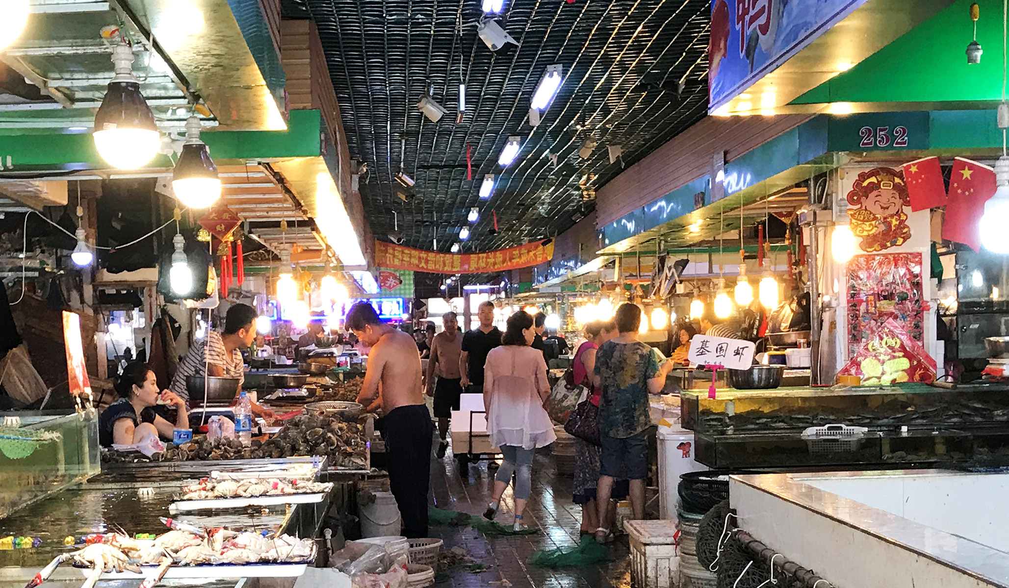 China’s Wet Markets & West’s Factory Farms: Both Violate Moral Common ...