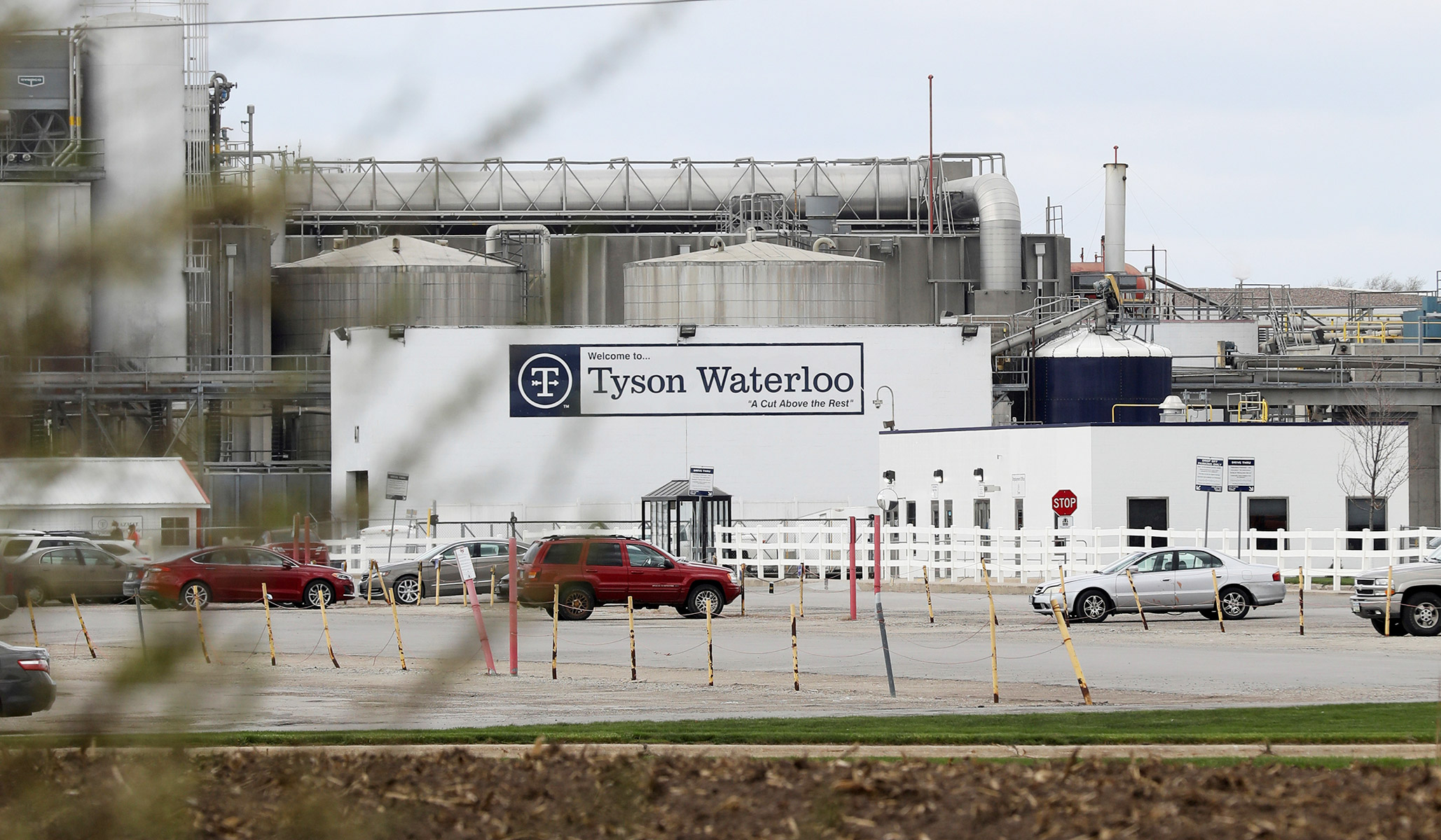 Coronavirus & Food -- Hundreds Test Positive for Coronavirus at Tyson ...