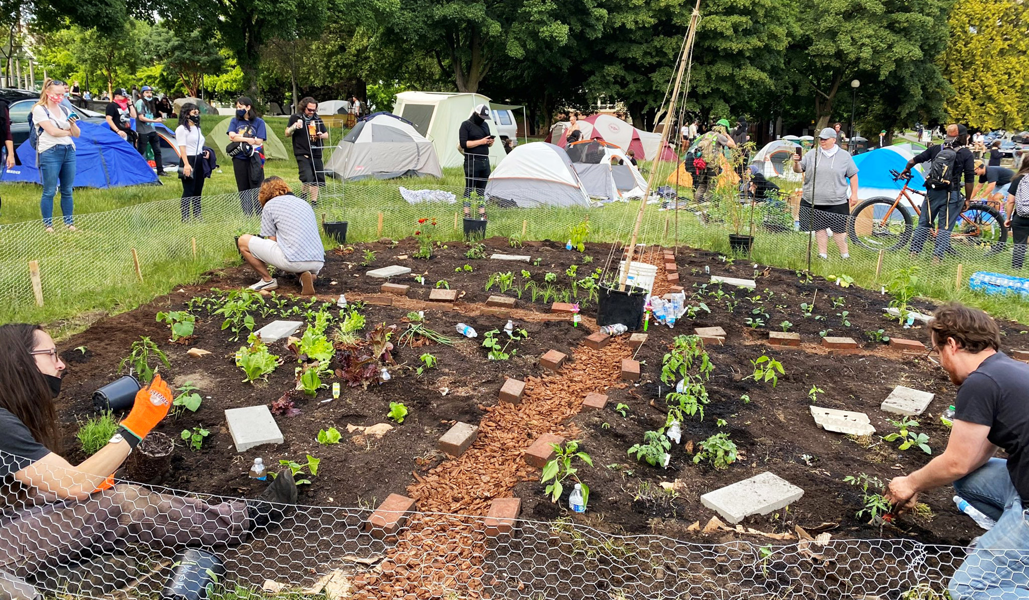 Seattle Capitol Hill Autonomous Zone: Reality More Complicated than ...