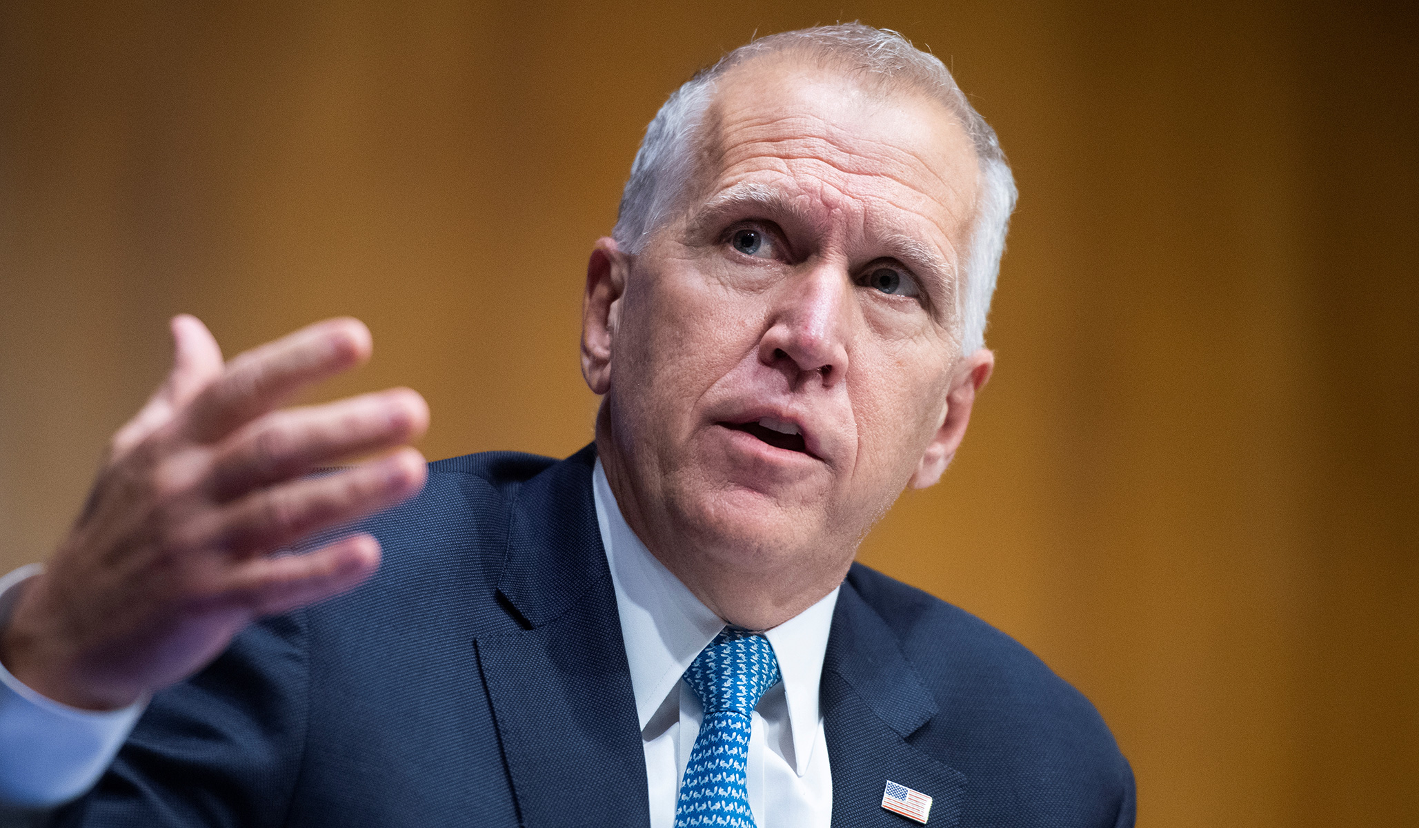 Thom Tillis Declares Victory in North Carolina Senate Race | National ...