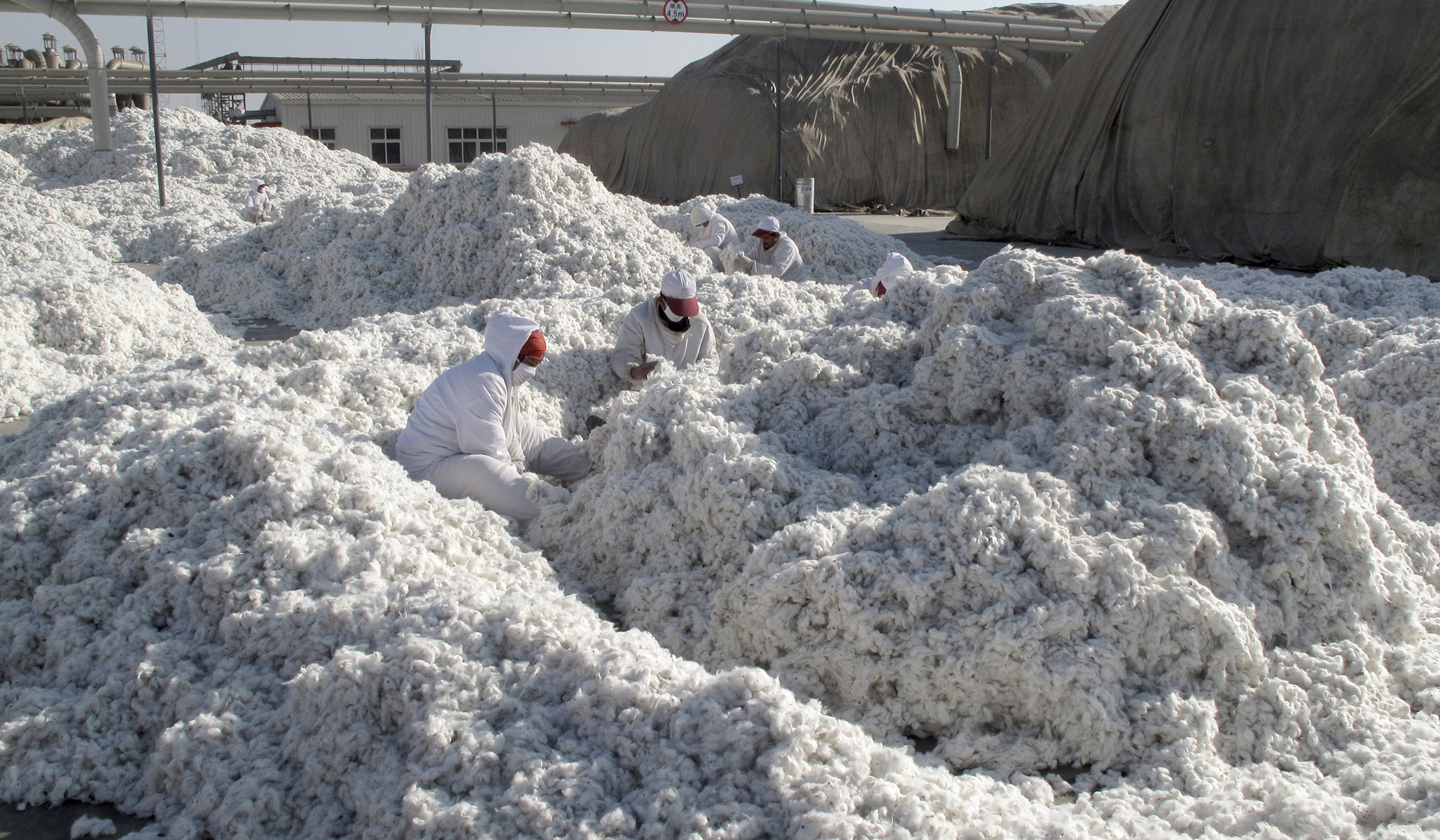 U.S. Bans Cotton Imports from Xinjiang, Citing Uyghur Forced Labor ...