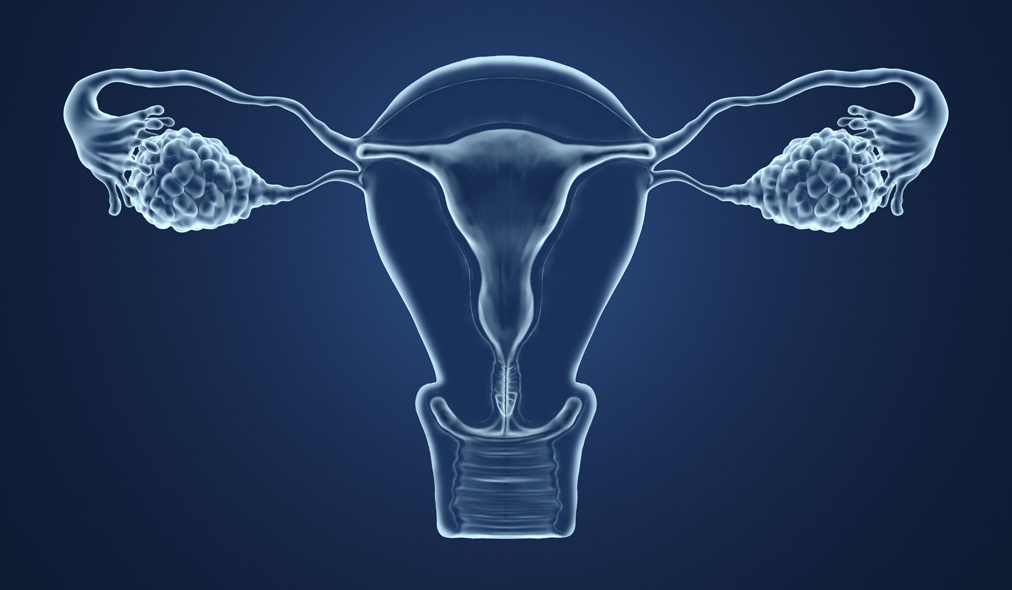 Popularizing Uterus Transplants into Biological Males | National Review