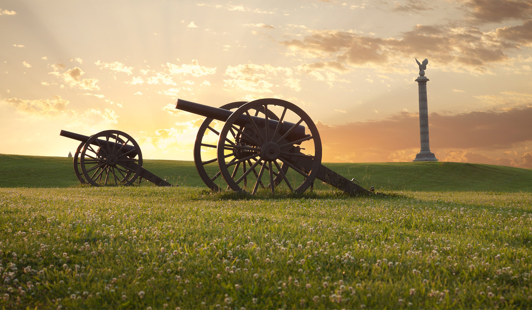 Americans Can Still Buy Cannon | National Review