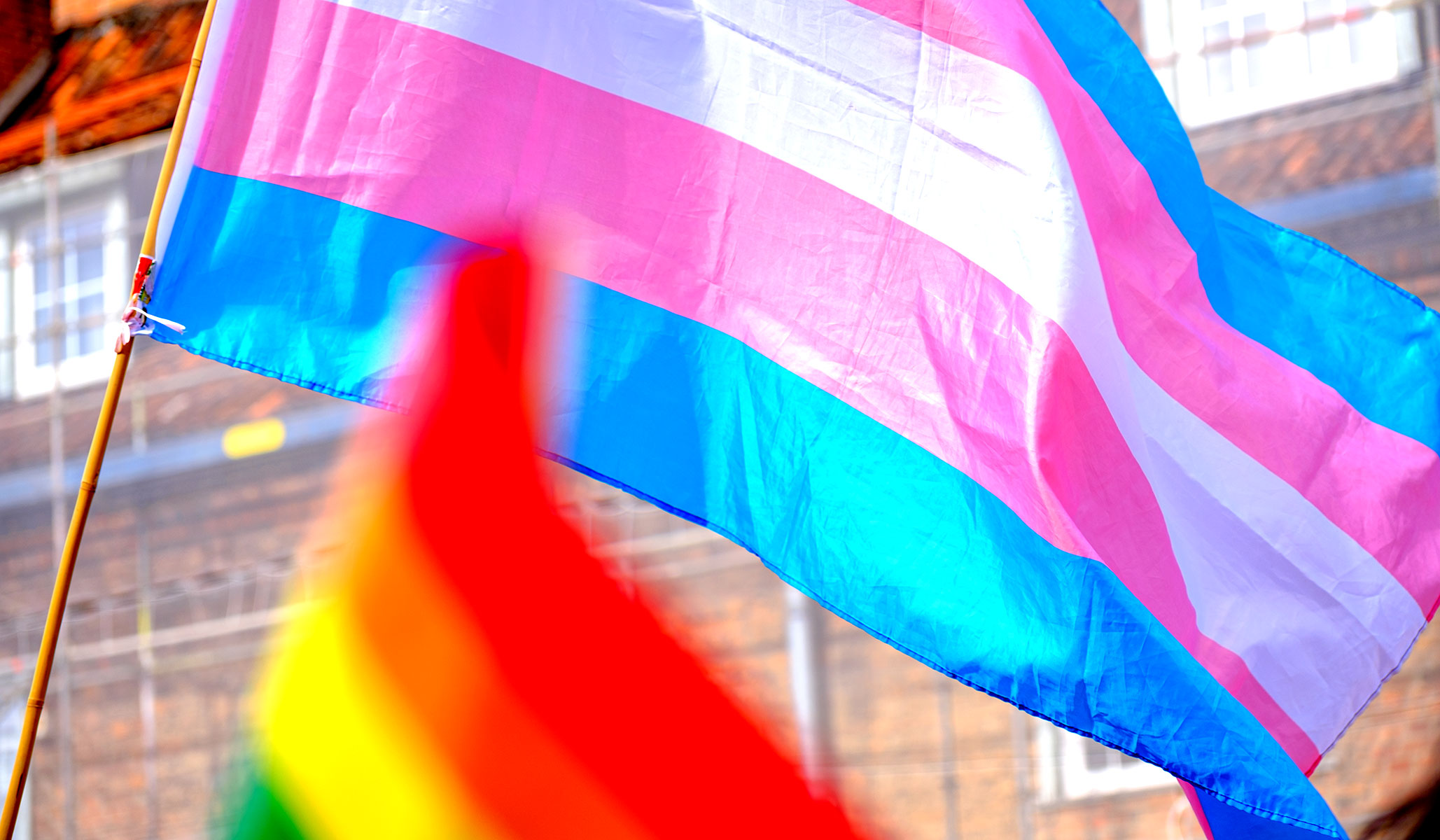 Parents' Survey of Rapid-Onset Gender Dysphoric Kids Finds Preexisting ...