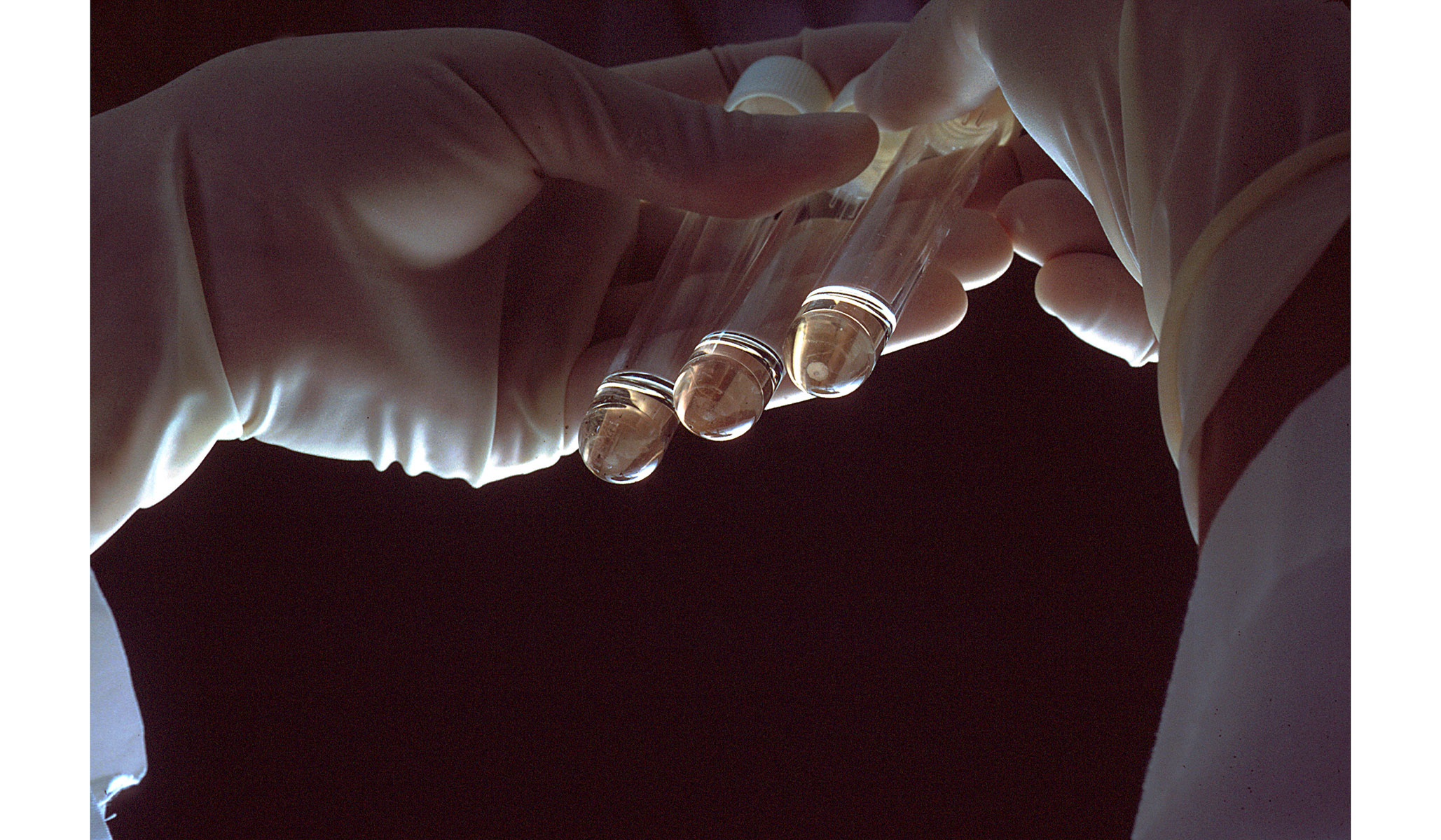 Anthony Fauci Doesn't Deserve Official Portrait at National Gallery ...