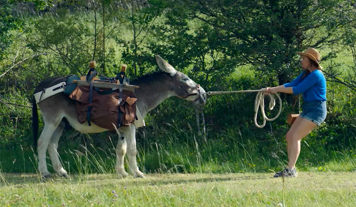 Kamala Harris & Knights of Columbus: Religious Test of the ‘New ...