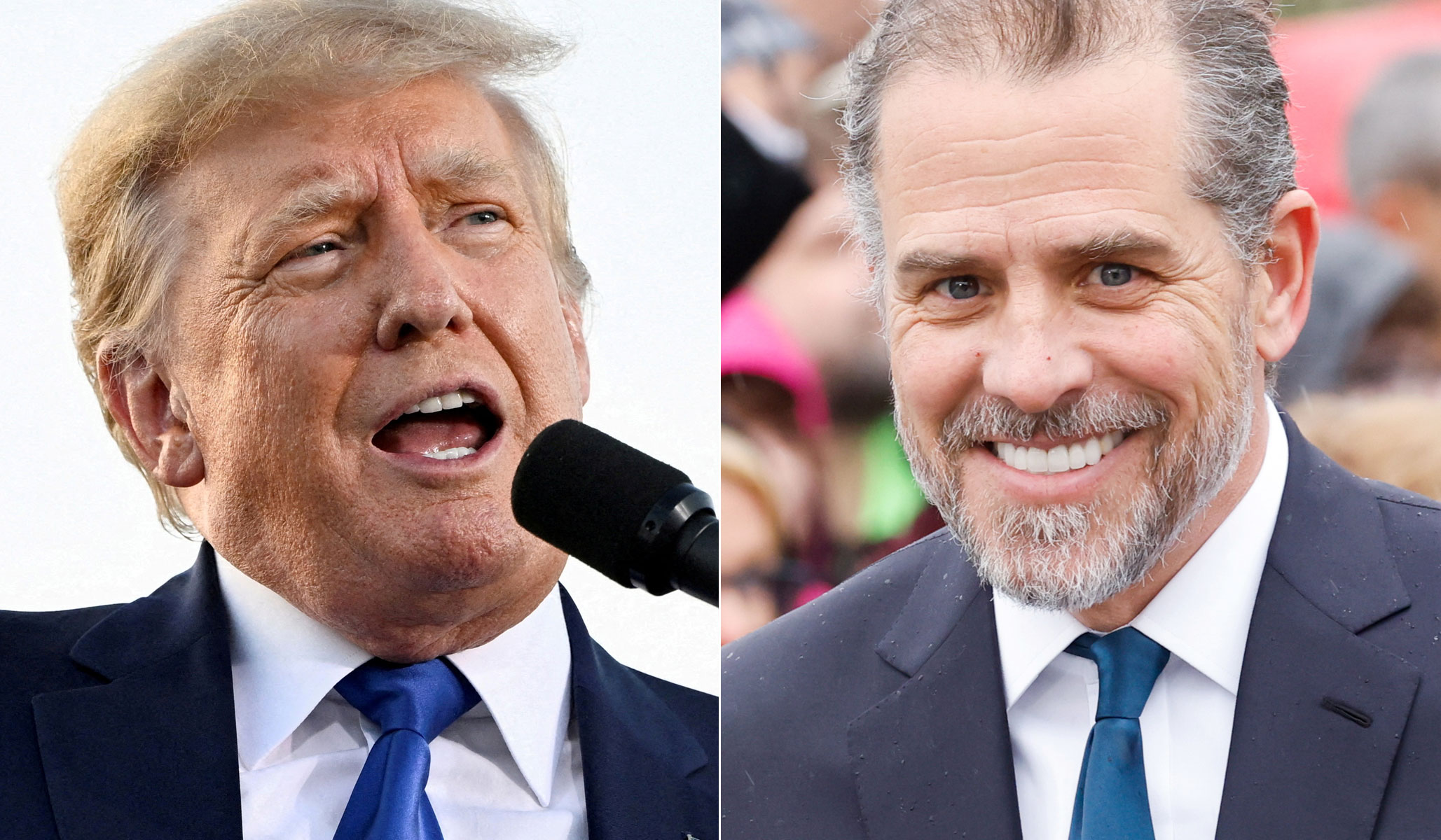 Donald Trump & Hunter Biden Stories: Political Crime, Legal Punishment ...