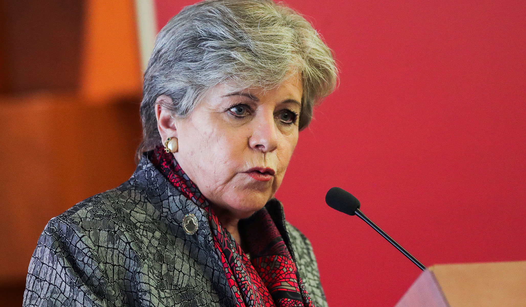 Alicia Bárcena Withdraws Development Bank Nomination after ‘Communist ...