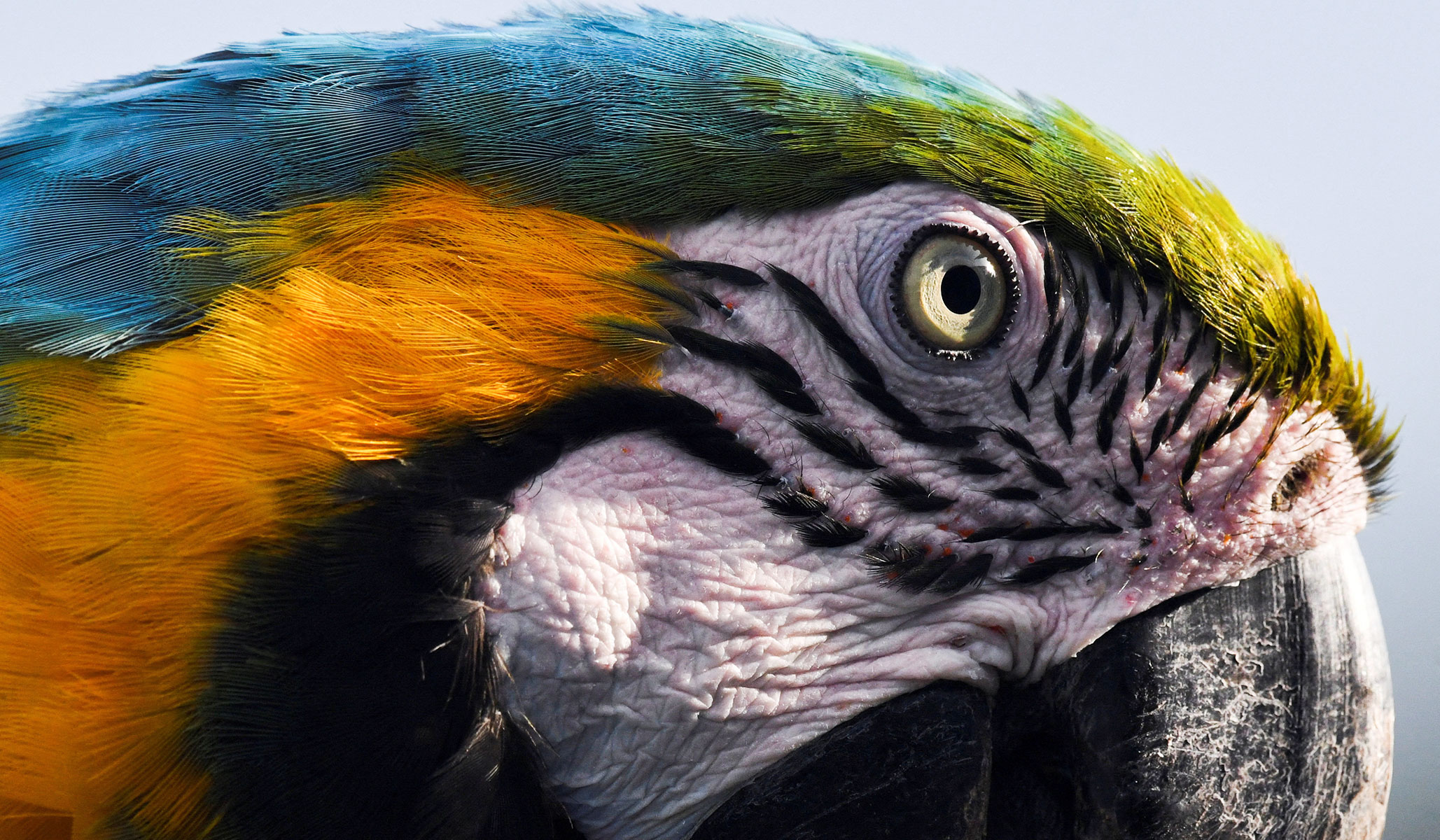 Top Photos of the Week: November 11, 2022 | National Review